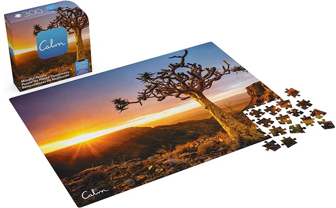 300-Piece Calm Jigsaw Puzzle $5.73 (Reg $15) | Free Stuff Finder