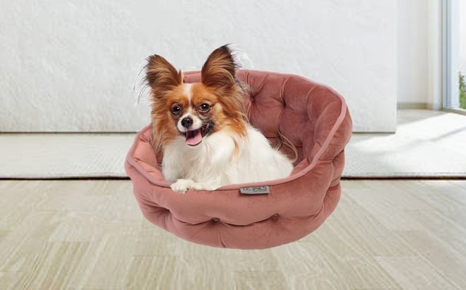 Mini Tufted Velvet Pet Bed $21.90 | Free Stuff Finder