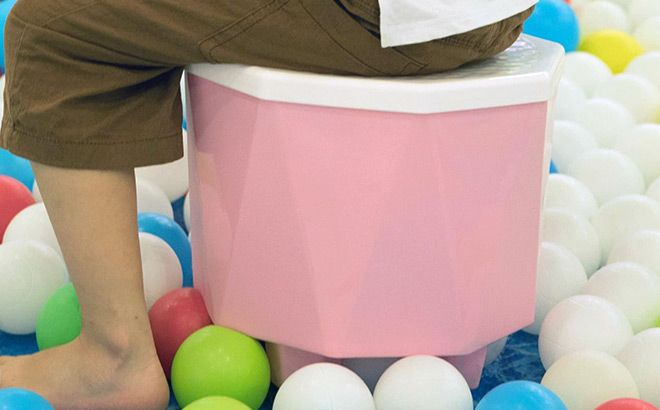 Storage Step Stool $19 (Reg $39) | Free Stuff Finder