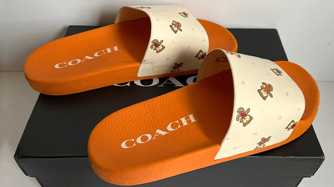 Coach Outlet Slides $29 Shipped | Free Stuff Finder