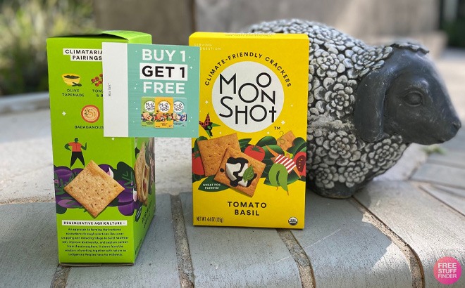 FREE Moonshot Crackers at Target | Free Stuff Finder