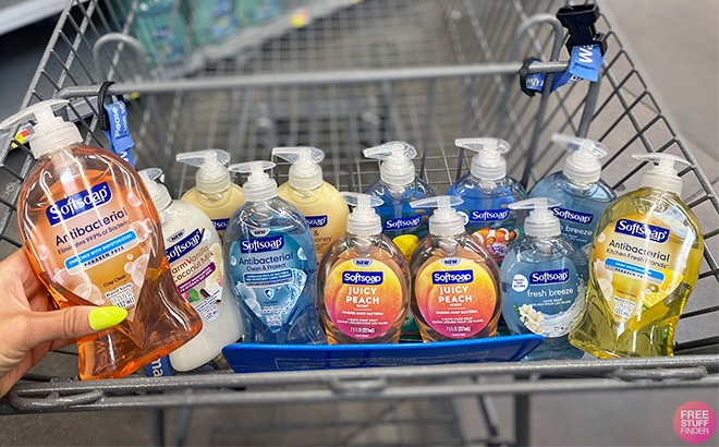 12 FREE Softsoap Liquid Hand Soaps at Dollar Tree (New TCB Members ...
