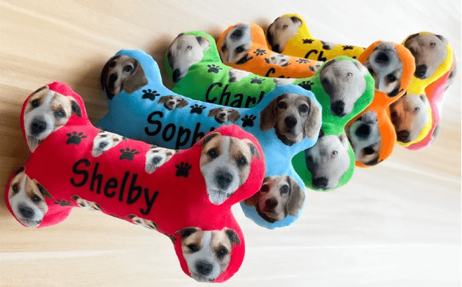 Personalized Dog Bone Toy $16 Shipped | Free Stuff Finder