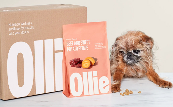 75% Off First Dog Food Box + Freebies Shipped! | Free Stuff Finder