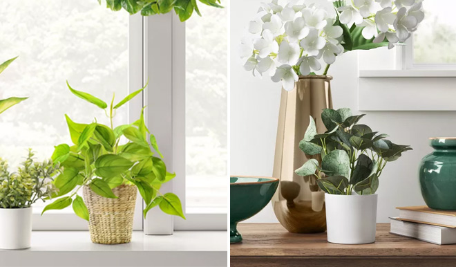 Threshold Faux Plants $3 | Free Stuff Finder