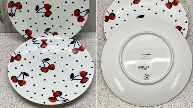 Kate Spade Plates 4-Pack Just $29 | Free Stuff Finder