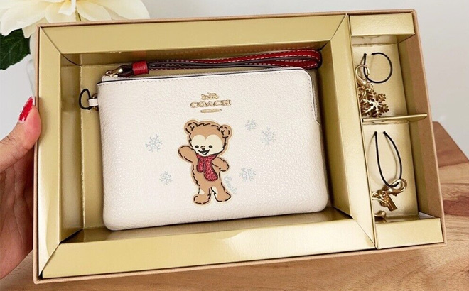 Coach Outlet Boxed Sets $35 Shipped | Free Stuff Finder
