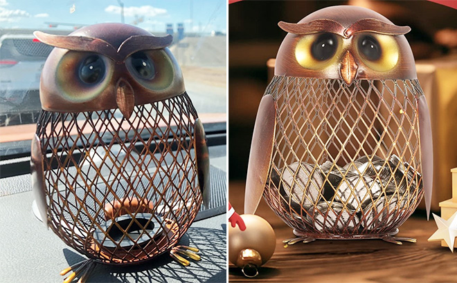 Owl Shaped Metal Coin Bank $10 | Free Stuff Finder