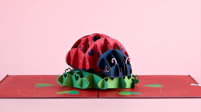 Valentine’s Day Pop-Up Cards $7 | Free Stuff Finder