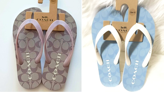 Coach Outlet Flip Flops $29 Shipped | Free Stuff Finder