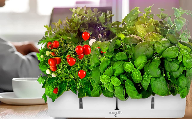 8-Pod Indoor Garden Kit $43.40 Shipped | Free Stuff Finder