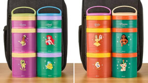 Disney Stackable Containers 2-Pack for $14.98 at Sam’s Club | Free ...
