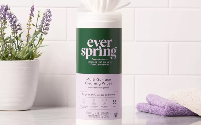 15% Off Everspring Cleaners at Target! | Free Stuff Finder