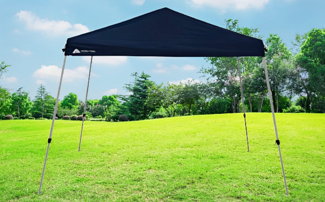 Ozark Trail 10-Foot Canopy $39 Shipped at Walmart | Free Stuff Finder
