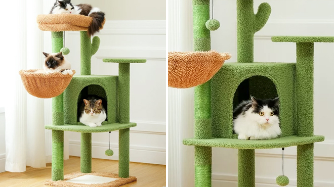 Cute Cat Tree $40 Shipped at Walmart | Free Stuff Finder
