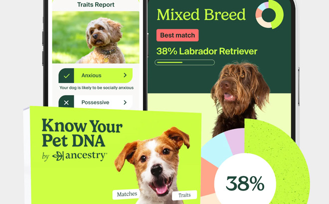 FREE Ancestry Dog DNA Kit ($99 Value) with Your First BarkBox! | Free ...