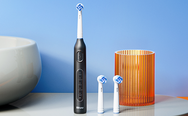 Electric Toothbrush Set $13.98 at Amazon | Free Stuff Finder