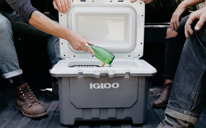 Igloo 45-Quart Hard Cooler $80 Shipped (Reg $170) at Amazon | Free Stuff Finder