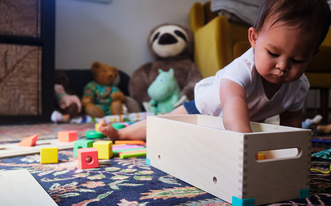 Support Your Kids Natural Curiosity with Lovevery Play Kits! | Free ...