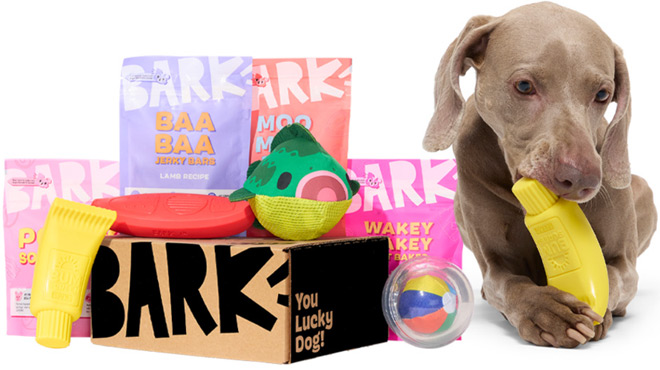 Get Double Dog Toys & Treats in Your First Super Chewer Box! | Free ...