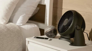90% Off Fans at Walgreens! | Free Stuff Finder