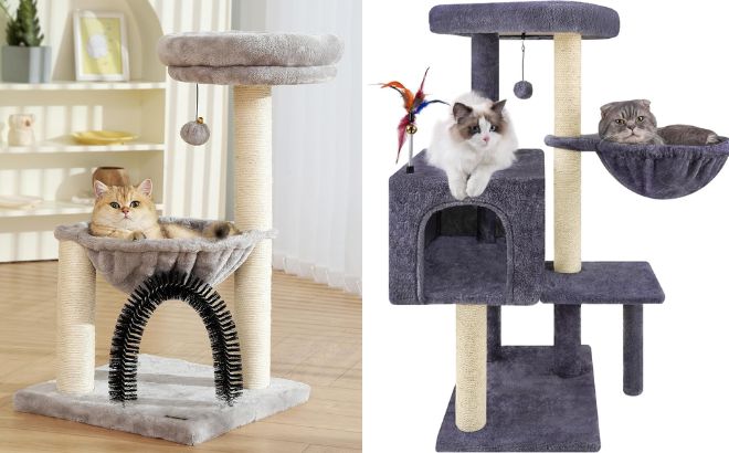 Best Selling Cat Trees at Amazon | Free Stuff Finder