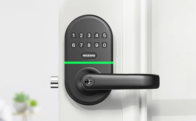 Smart Keypad Door Lock $28 Shipped at Amazon! | Free Stuff Finder