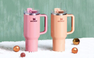 New Mini Stanley Winter Wonderland Collection! | Free Stuff Finder